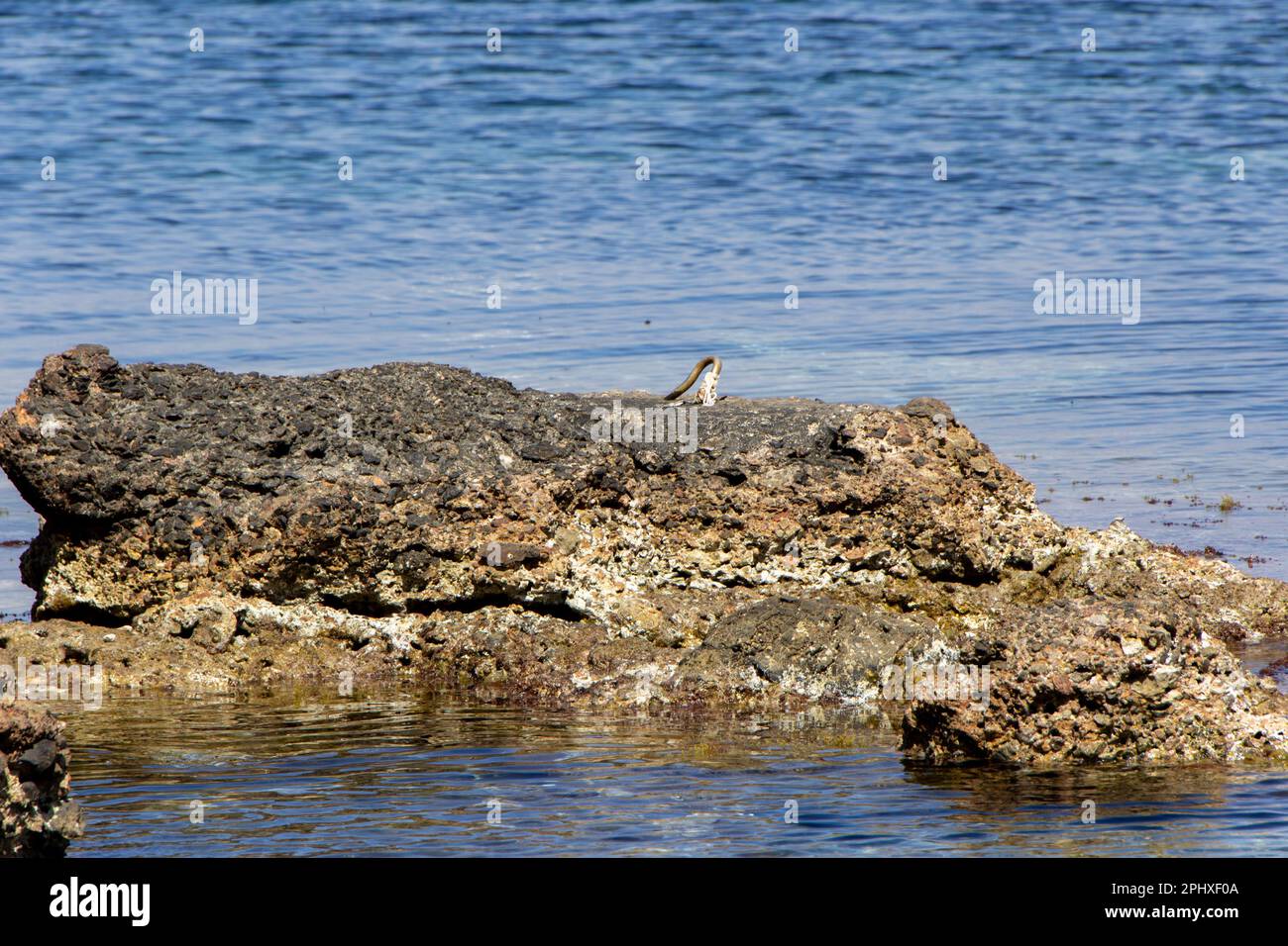 Rugged rock formation stands hi-res stock photography and images - Alamy