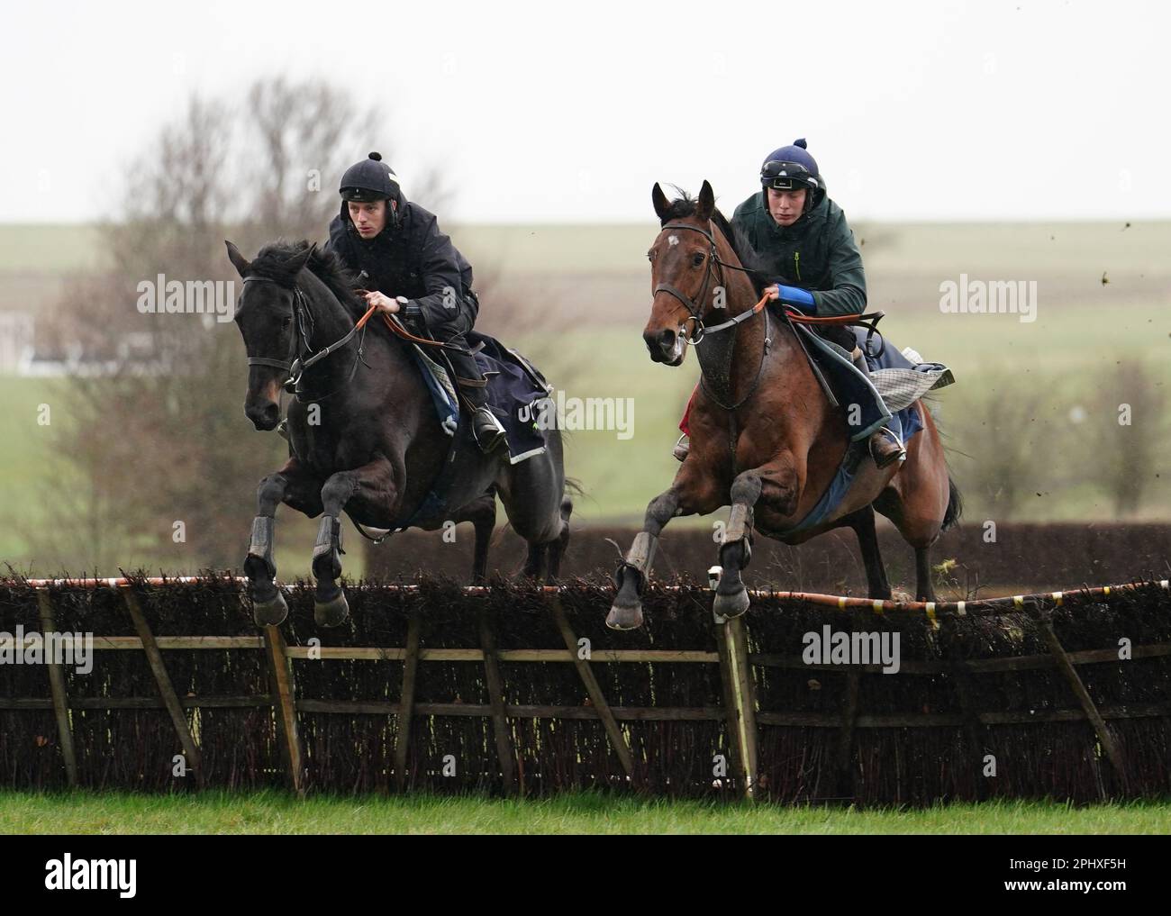 Bombay Sapphire (left) and Scarpered on the gallops during at visit to ...
