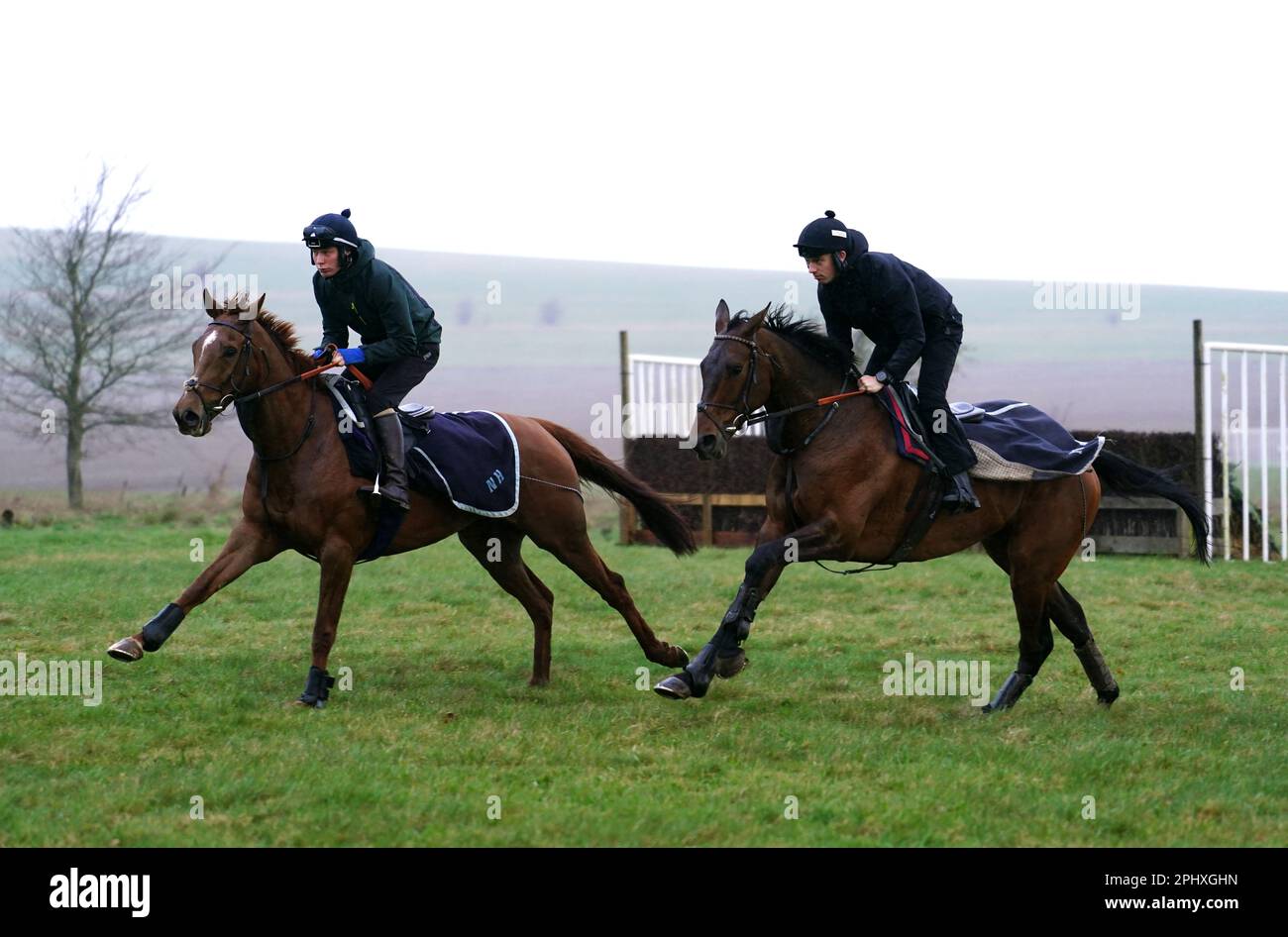 Quickdraw and Scarpia on the gallops during a visit to Seven Barrows ...