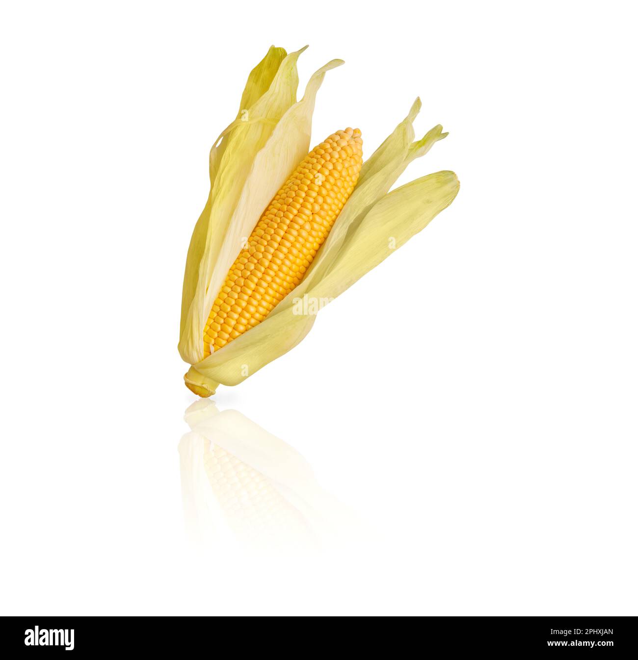 Ear of corn isolated on white background Stock Photo - Alamy