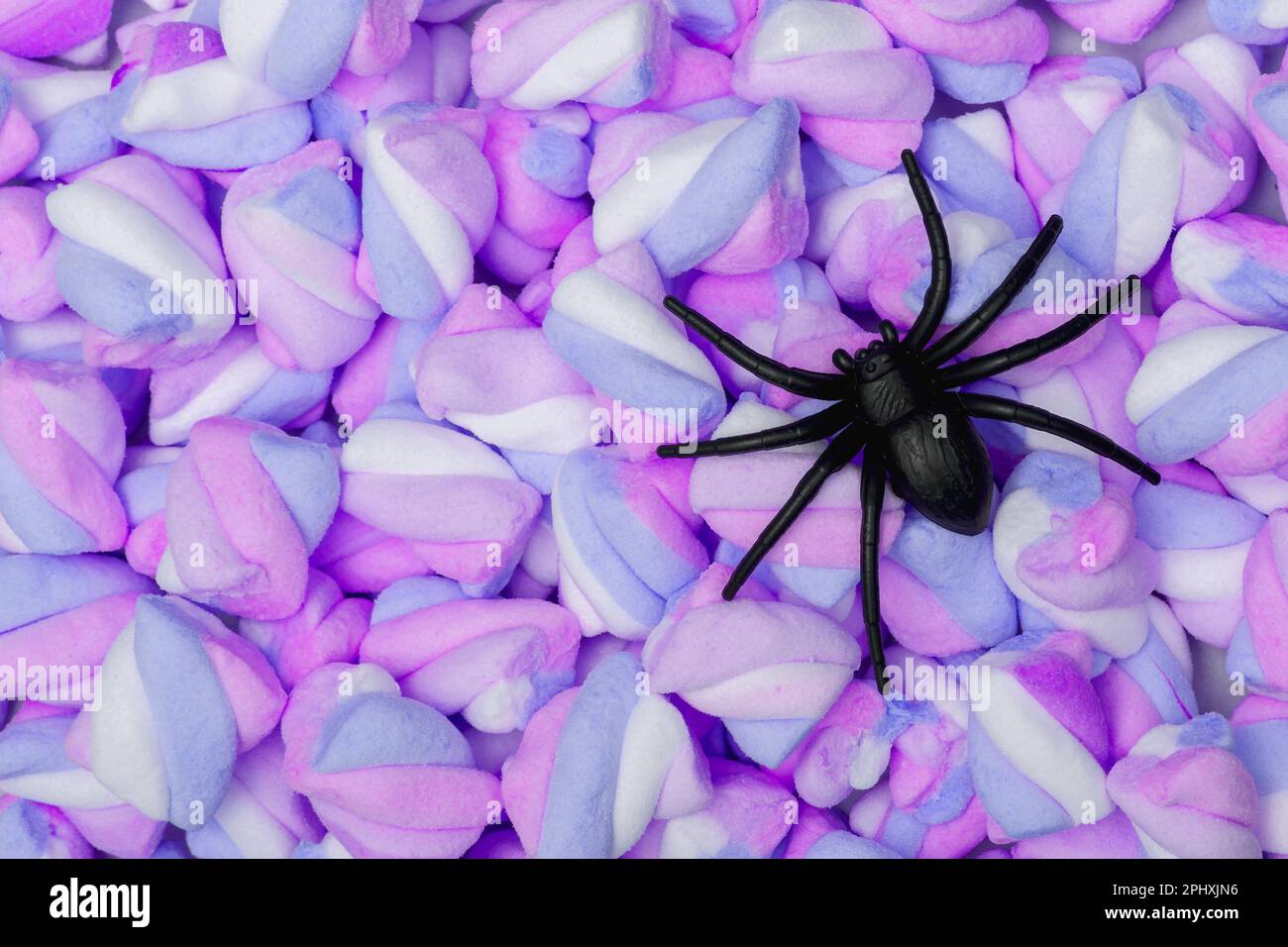 Halloween concept. Spider on a background of purple and violet ...