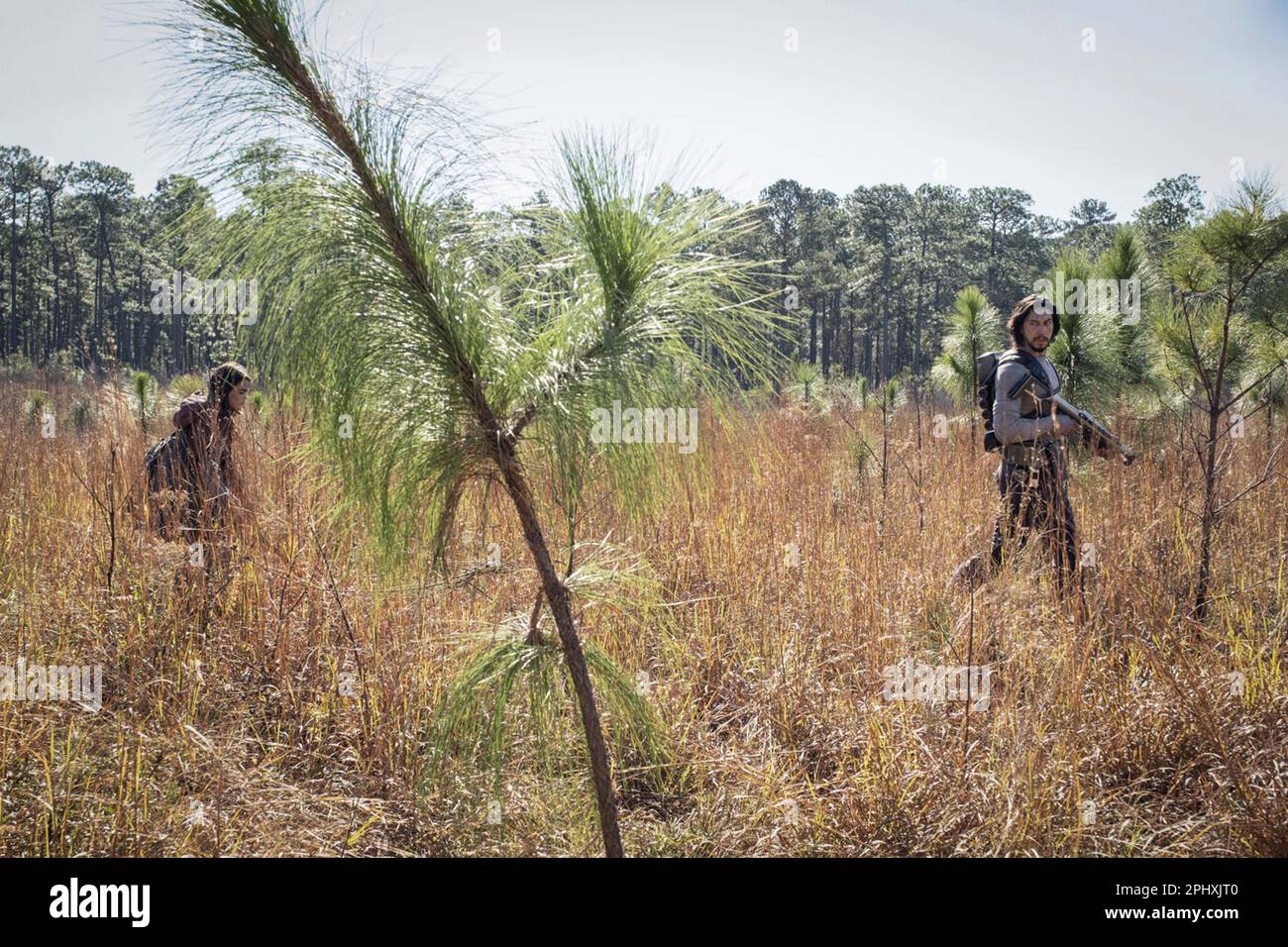 65 (2023) ARIANA GREENBLATT ADAM DRIVER SCOTT BECK (DIR) BRYAN WOODS ...