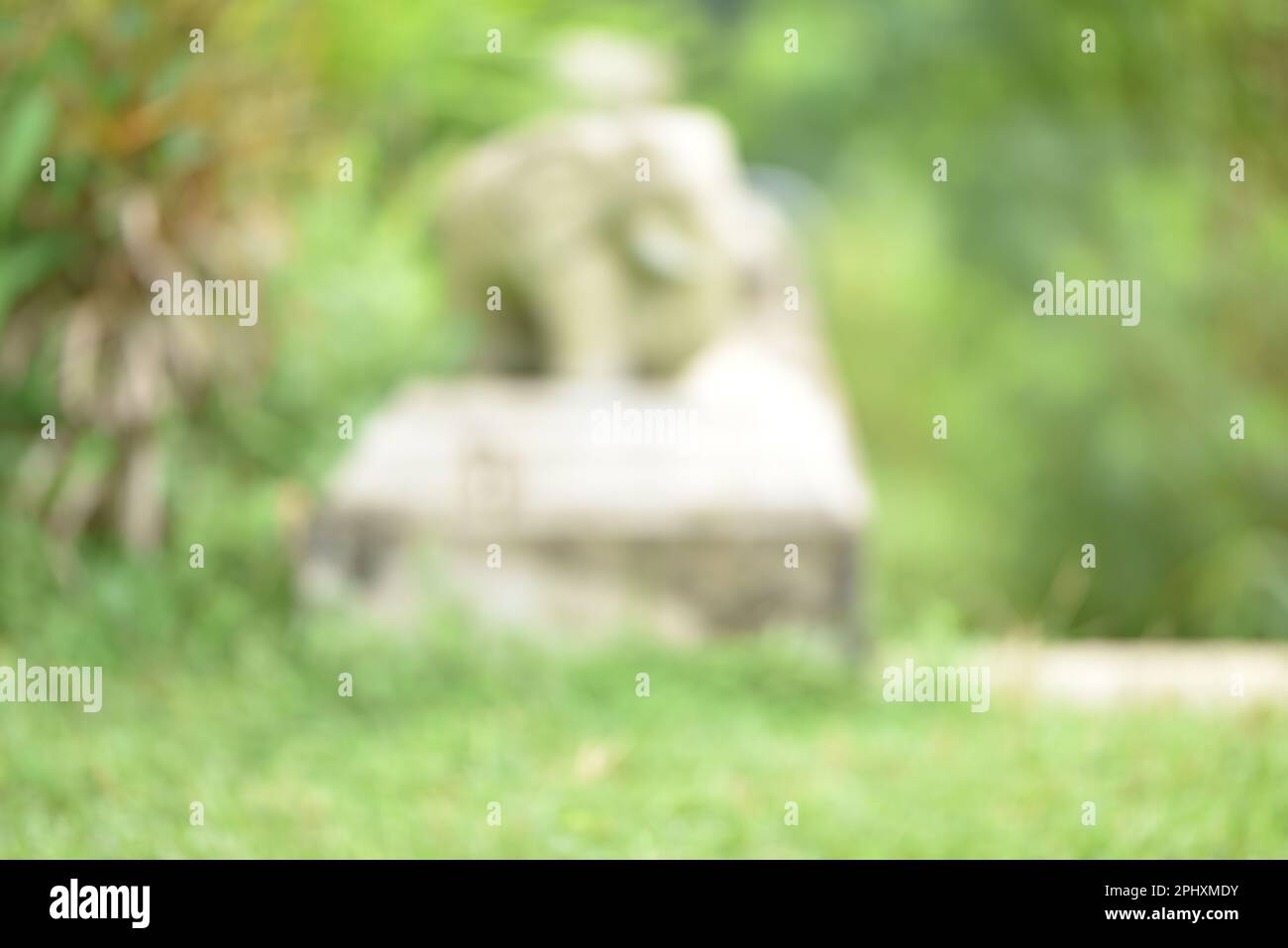 How to blur background in dslr hi-res stock photography and images - Alamy