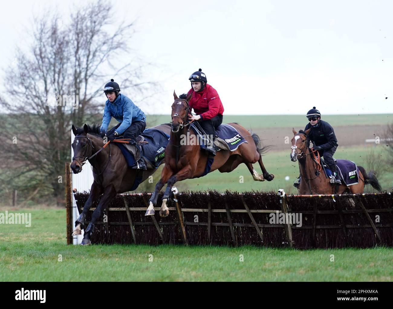 Royal Max, Pawapuri and Arclight during a visit to Seven Barrows ...