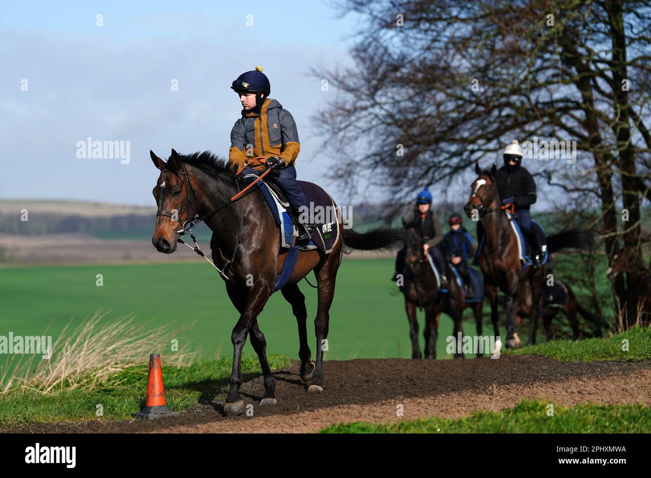 On the gallops during stable visit at seven barrows stables hi-res ...