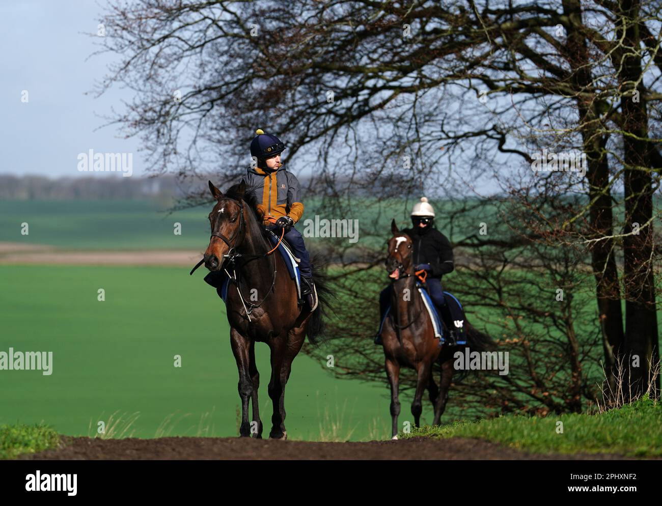 Constitution Hill and Jonbon on the gallops during a visit to Seven ...