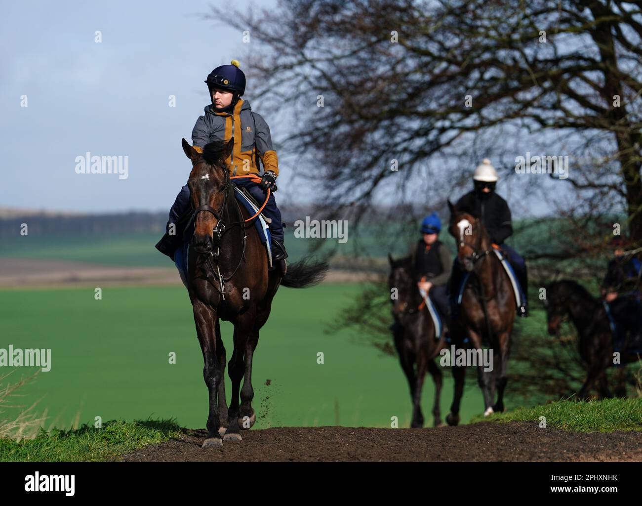 On the gallops during stable visit at seven barrows stables hi-res ...