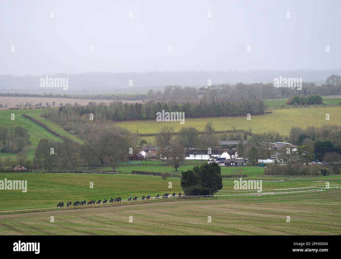 On the gallops during stable visit at seven barrows stables hi-res ...