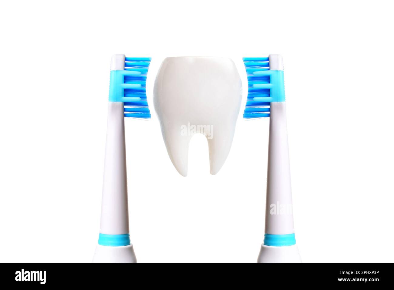 Close-up of a large tooth model placed between two electric ...