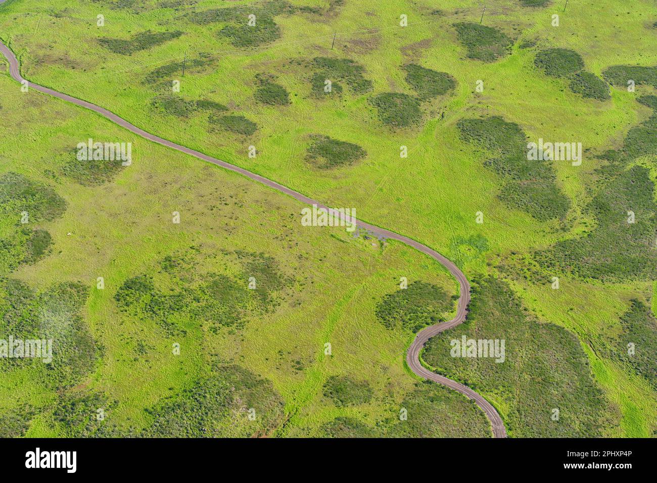 Winding dirt road cutting through a vast plain in a volcanic area ...