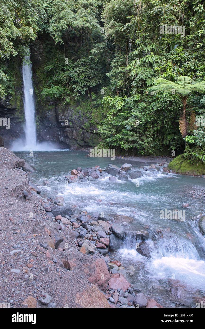 The idyllic Tusan Waterfall in Camiguin in the Philippines that flow ...