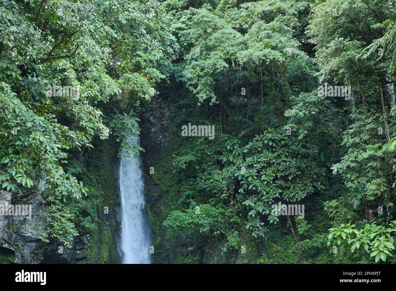 The idyllic Tusan Waterfall in Camiguin in the Philippines surrounded ...