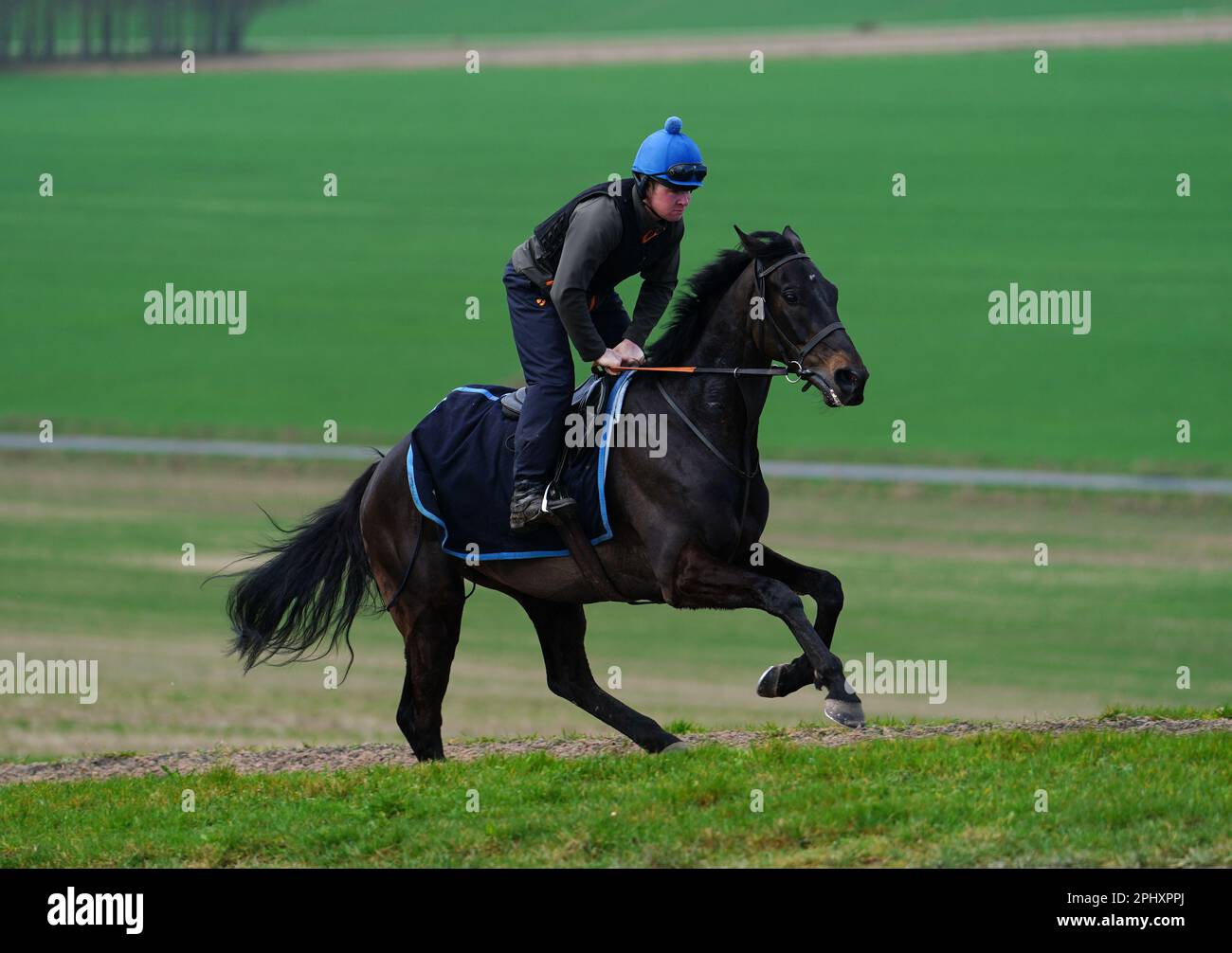 On the gallops during stable visit at seven barrows stables hi-res ...