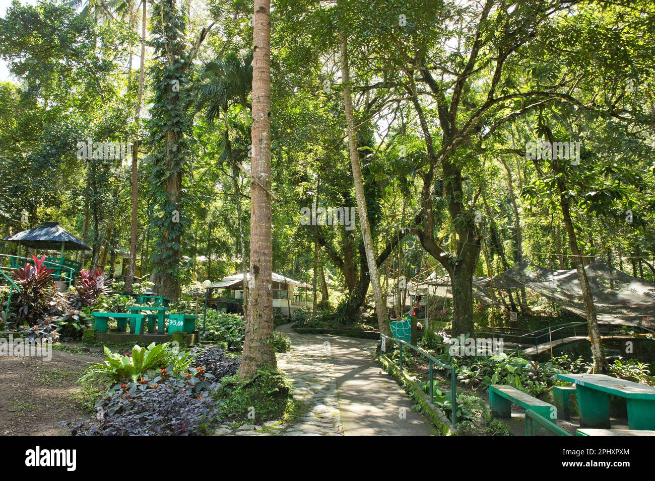The idyllic park at the Ardent Hot Springs in Camiguin in the ...