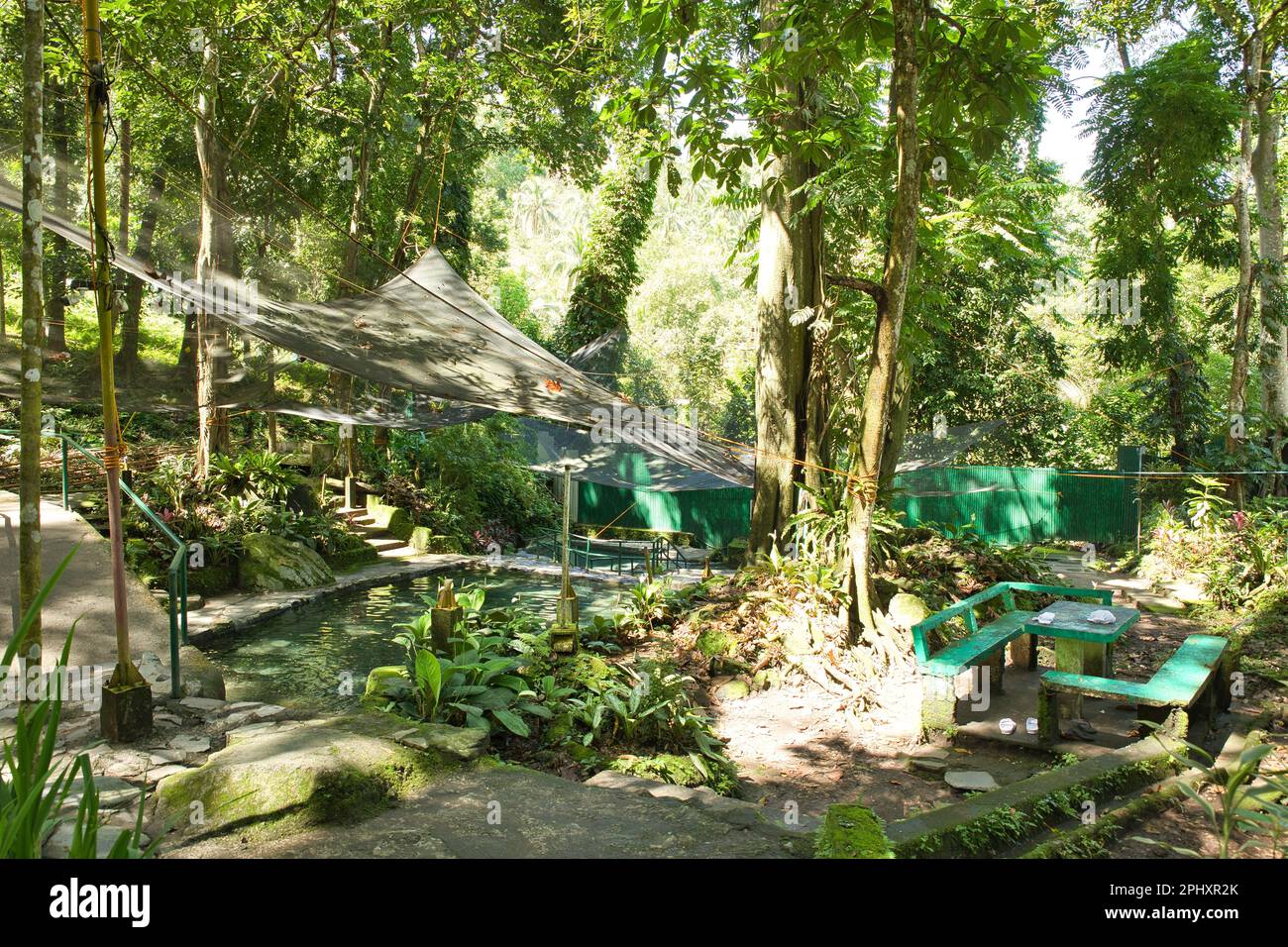 The idyllic Ardent Hot Springs in Camiguin, Philippines, surrounded by ...