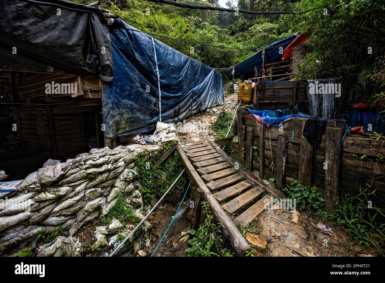 Miners in Indonesia, illegal gold extraction, Java, Asia Stock Photo ...