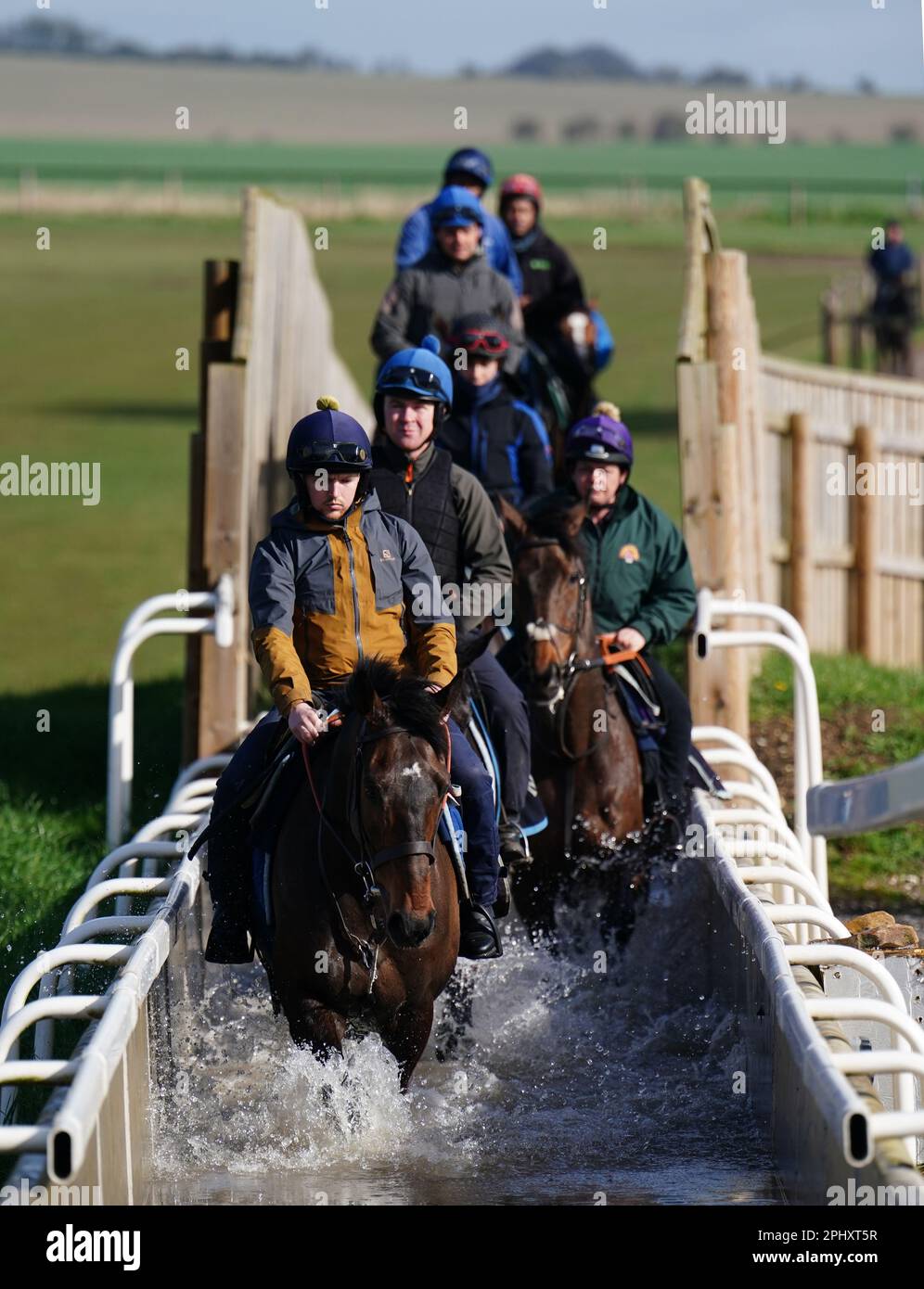 Nicky henderson stable visit seven barrows stables thursday hi-res ...