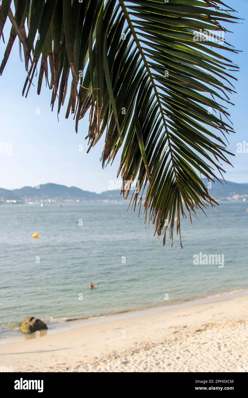 Landscape of Samil beach and coastline of Rias baixas in Galicia, at ...