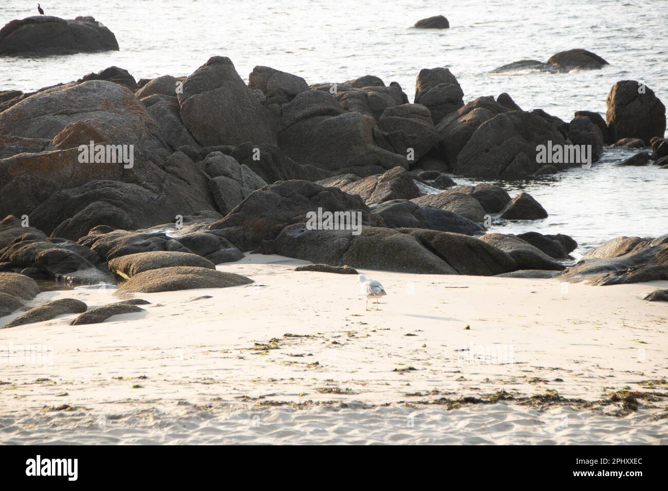 Playa de samil hi-res stock photography and images - Alamy