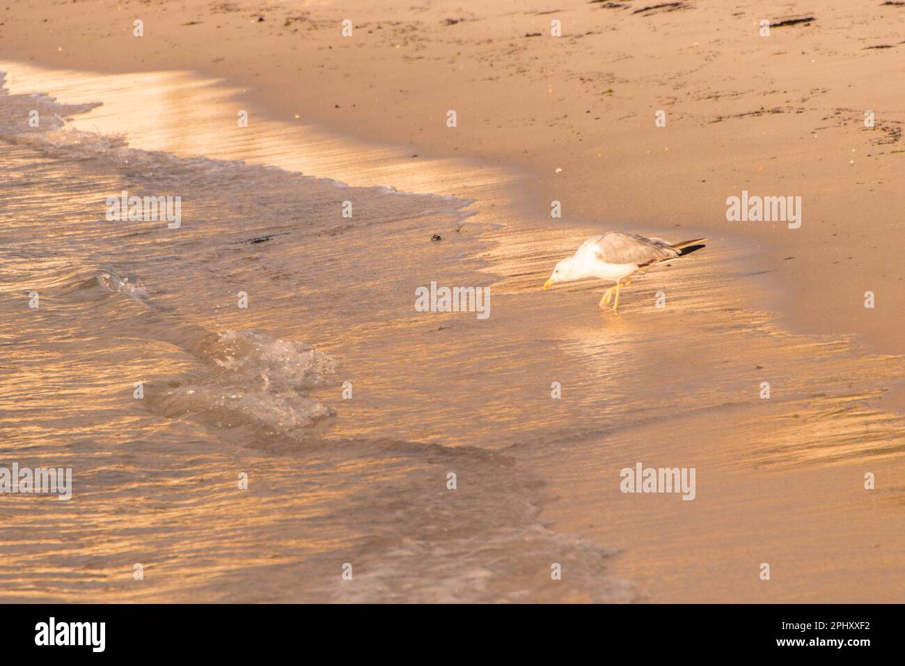 Playa de samil hi-res stock photography and images - Alamy