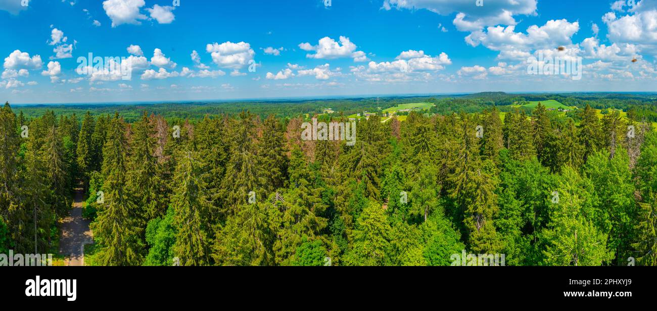 Natural landscape surrounding Suur Munamägi Tower in Estonia Stock ...