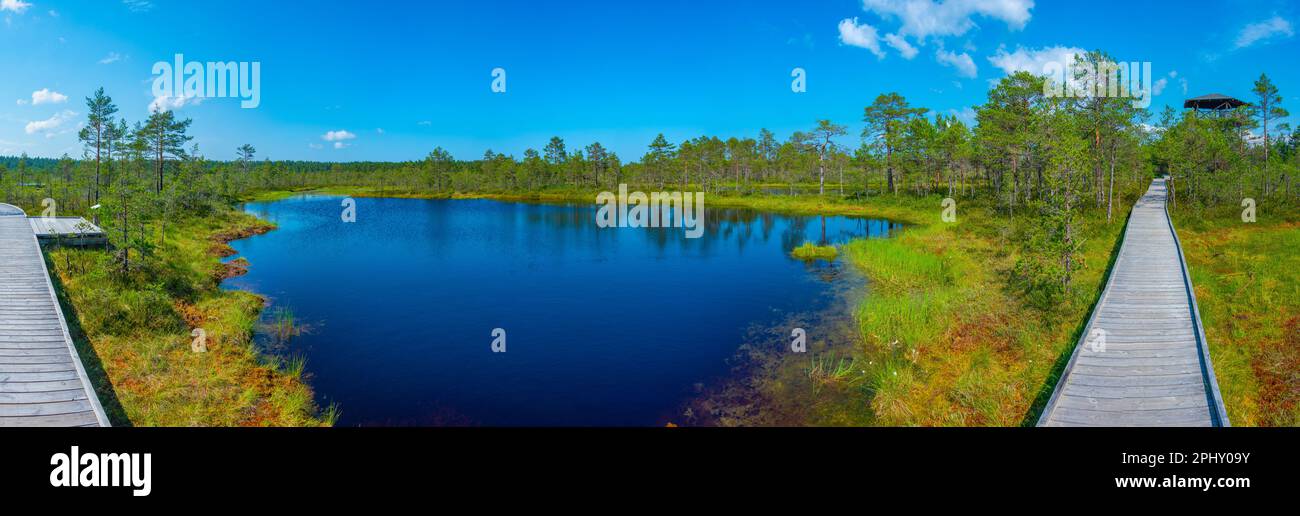 Landscape of Viru bog national park in Estonia Stock Photo - Alamy