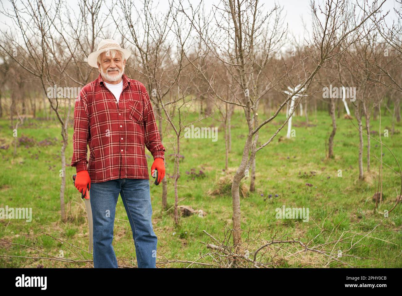Peasant working in garden in spring Stock Photo - Alamy