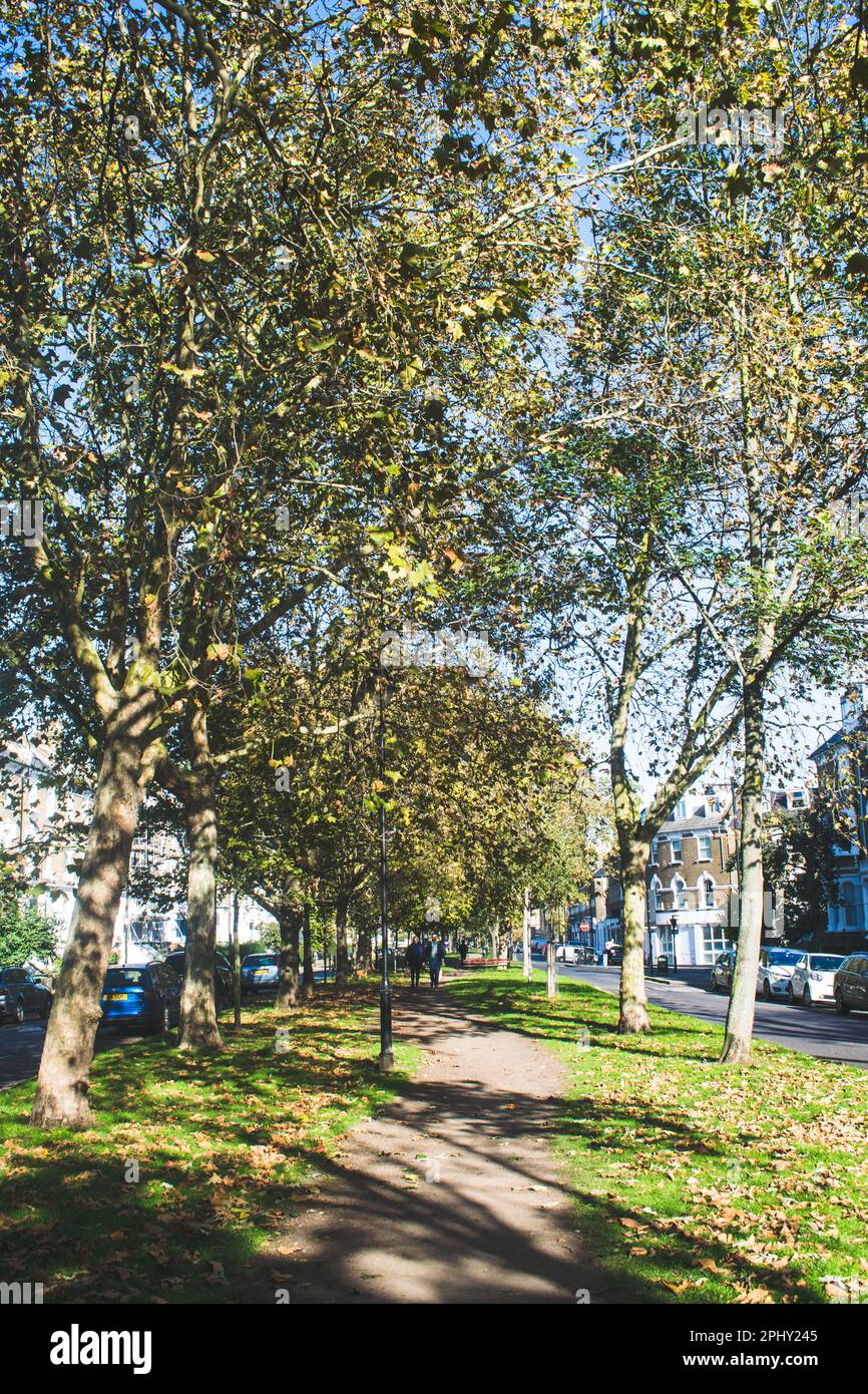 green trees in London Stock Photo - Alamy