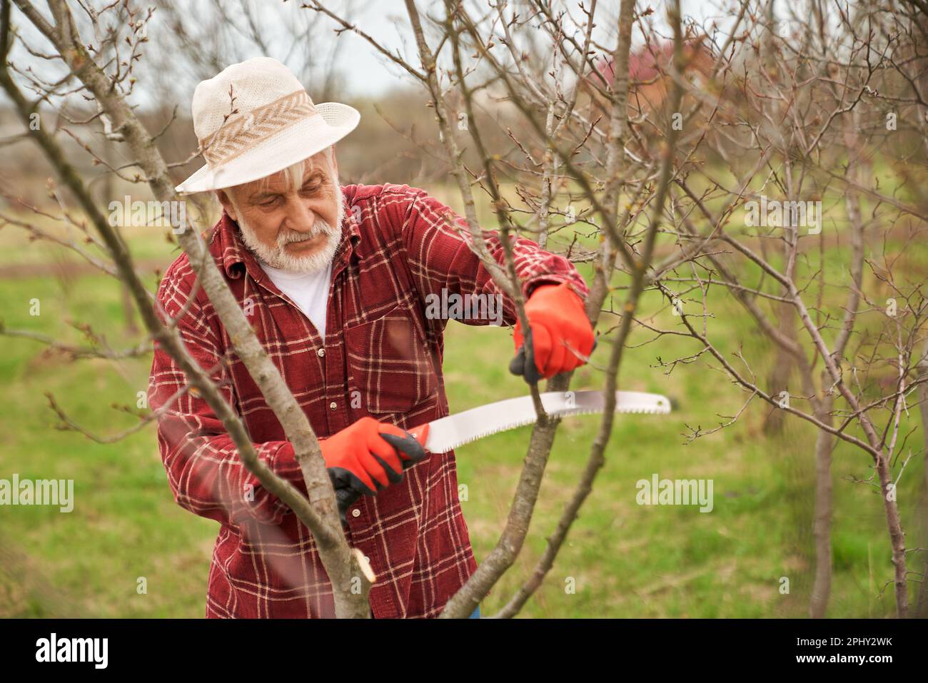 Sawing branch standing hi-res stock photography and images - Alamy