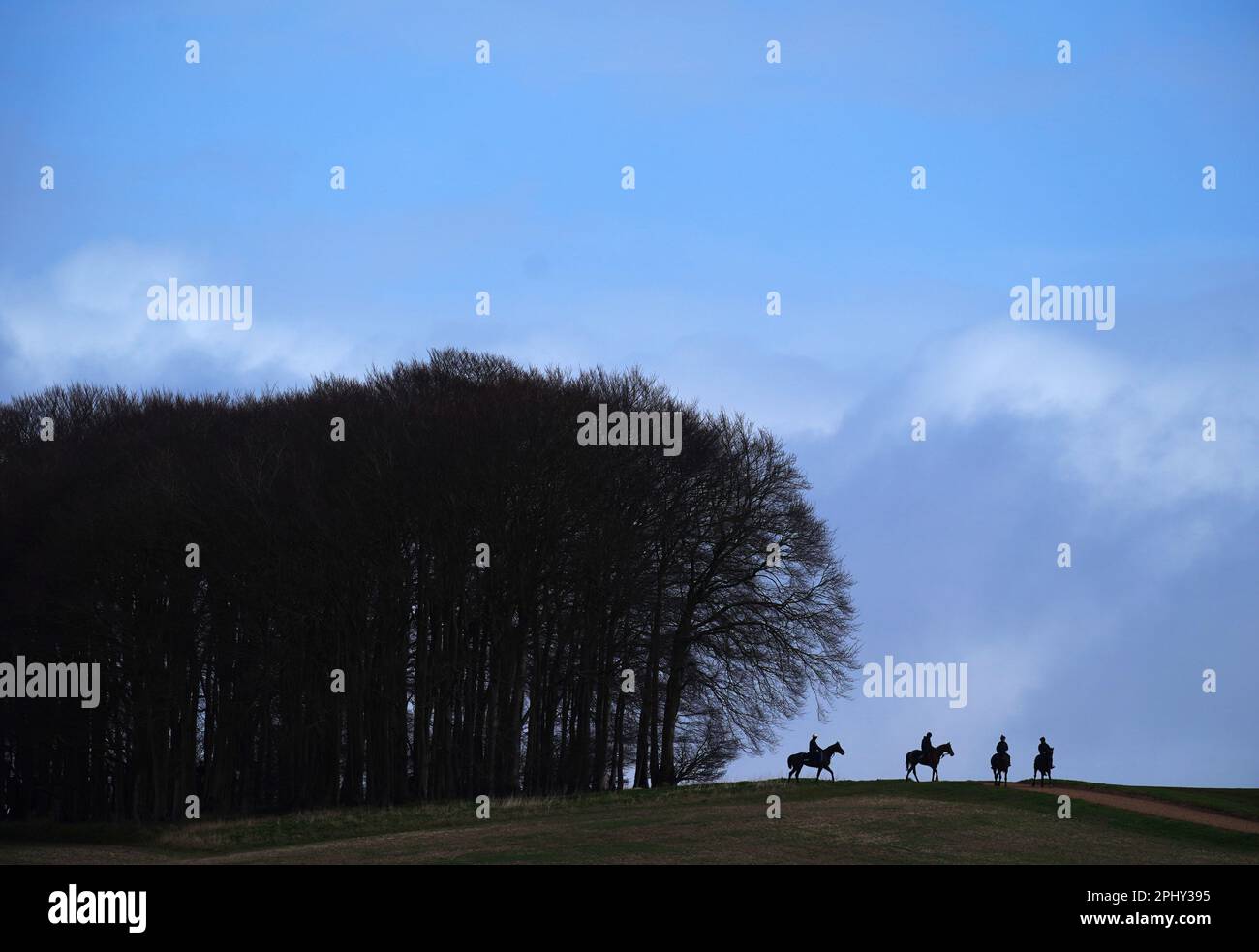 Horses on the gallops during a visit to Seven Barrows Stables, Lambourn ...