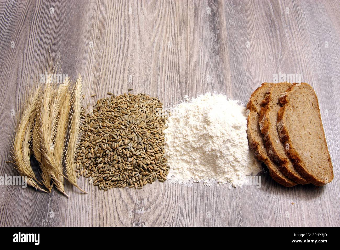 cultivated rye (Secale cereale), stages of corn; spikes, grains, flour ...