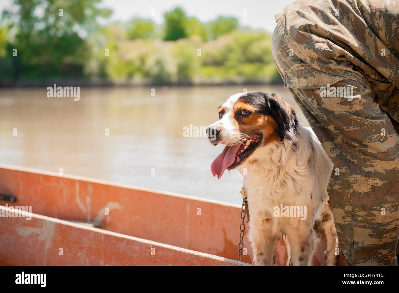 Happy, excited irish setter enjoying boat trip, while floating on calm ...