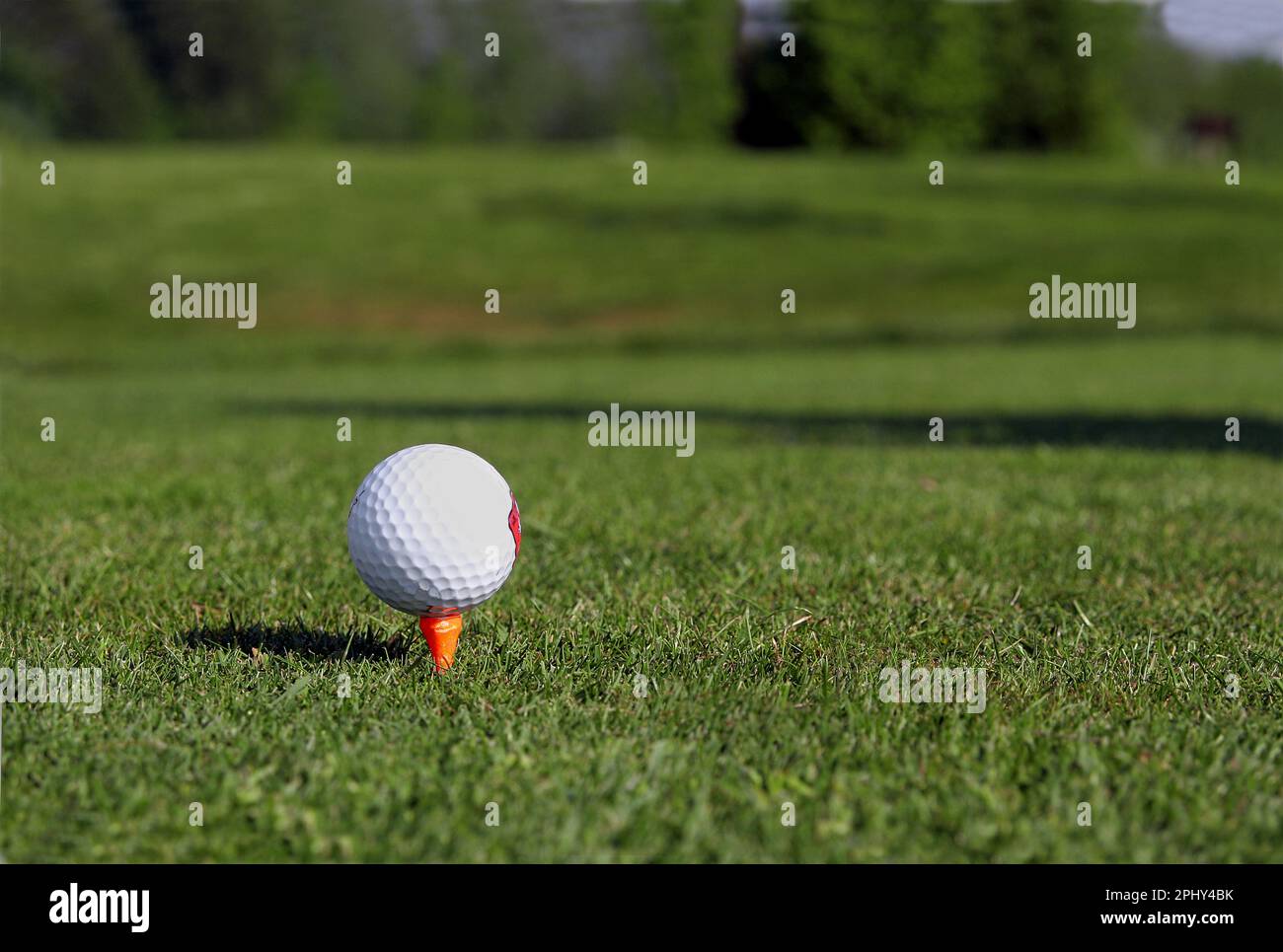 golf ball at tee Stock Photo - Alamy