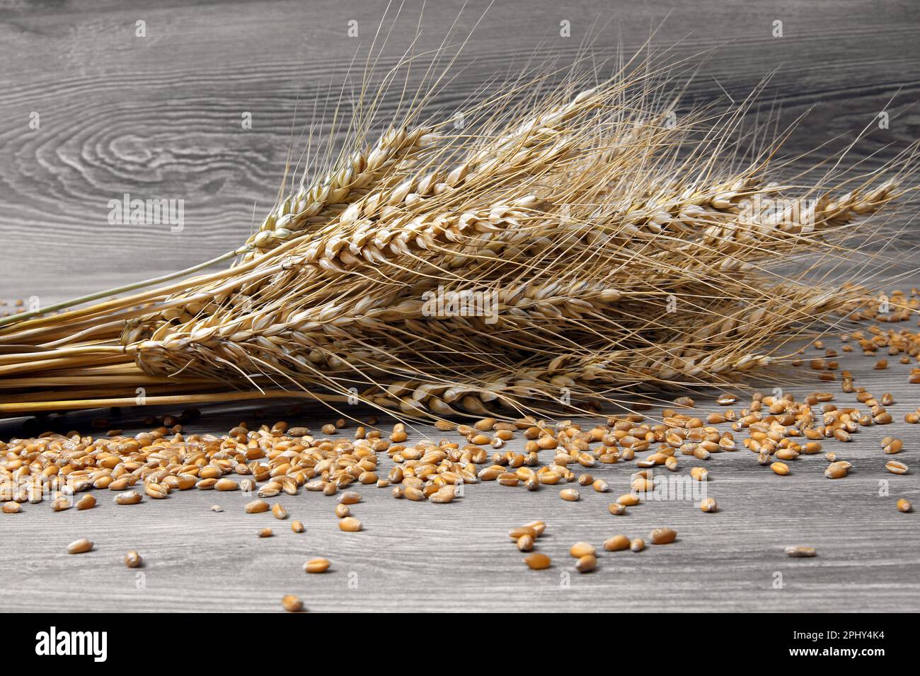 Wheat grains r hi-res stock photography and images - Alamy