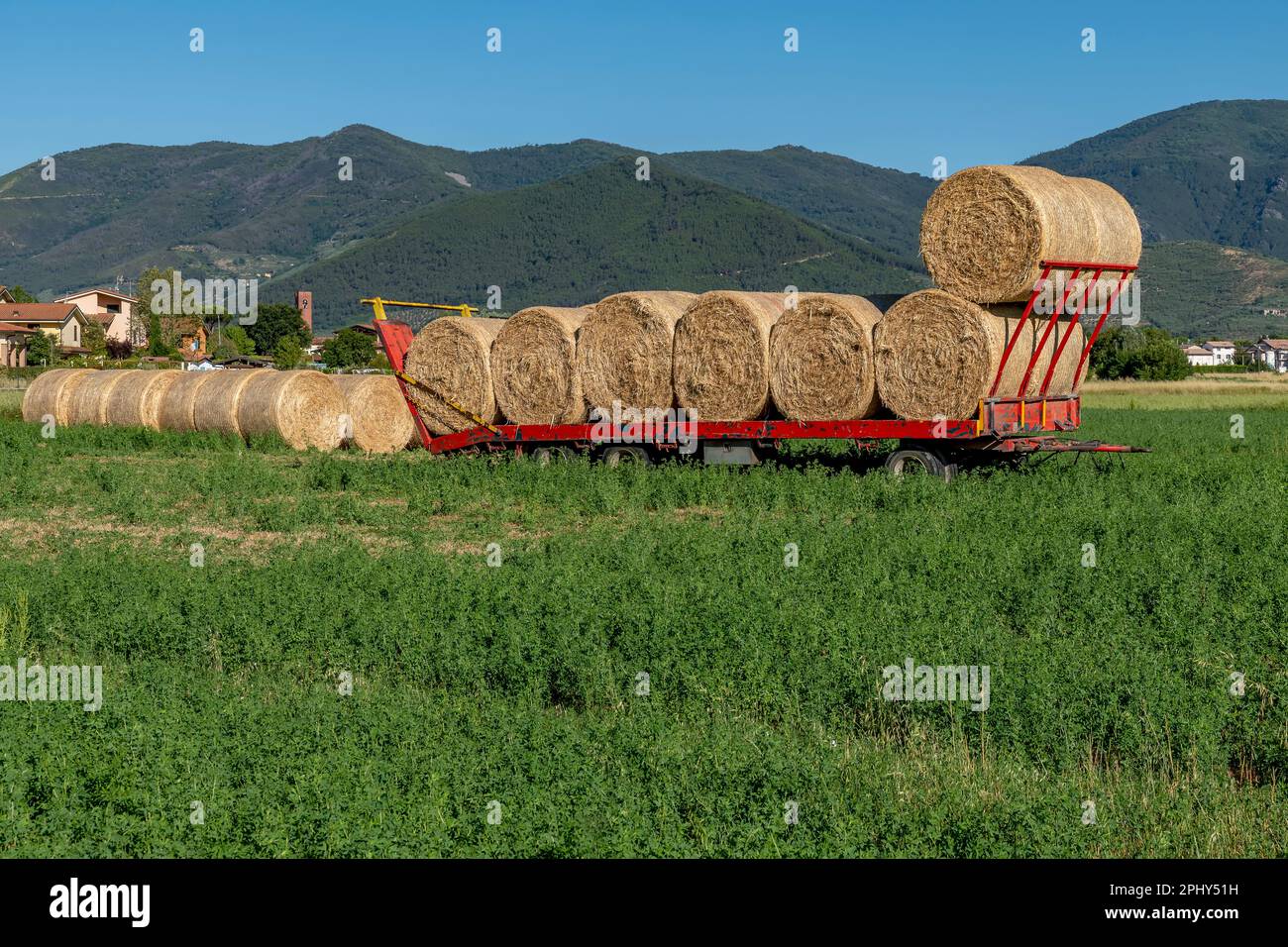 Bales of hay are lined up on a trailer in the Tuscan countryside near ...