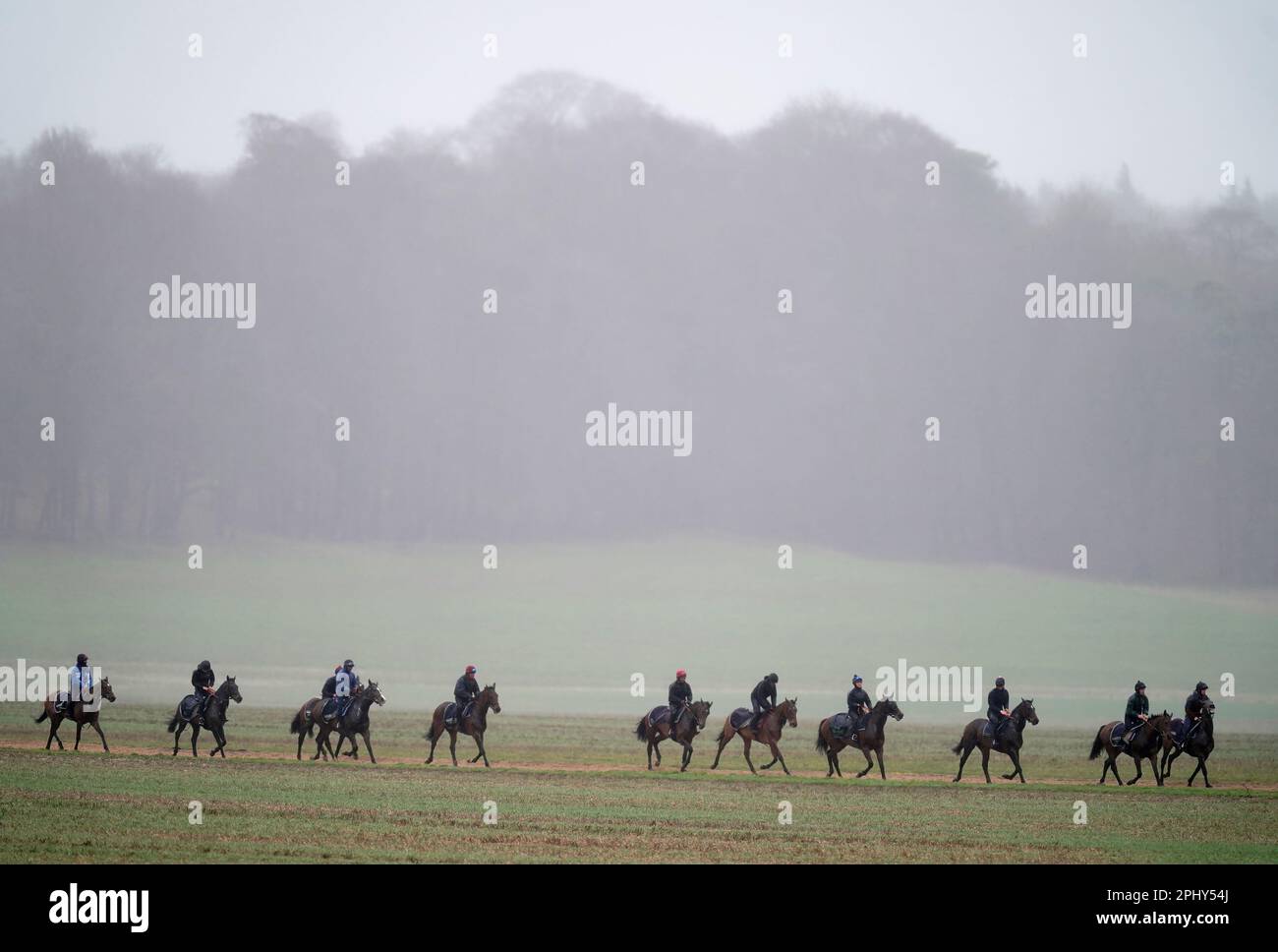 Horses on the gallops during a visit to Seven Barrows Stables, Lambourn ...