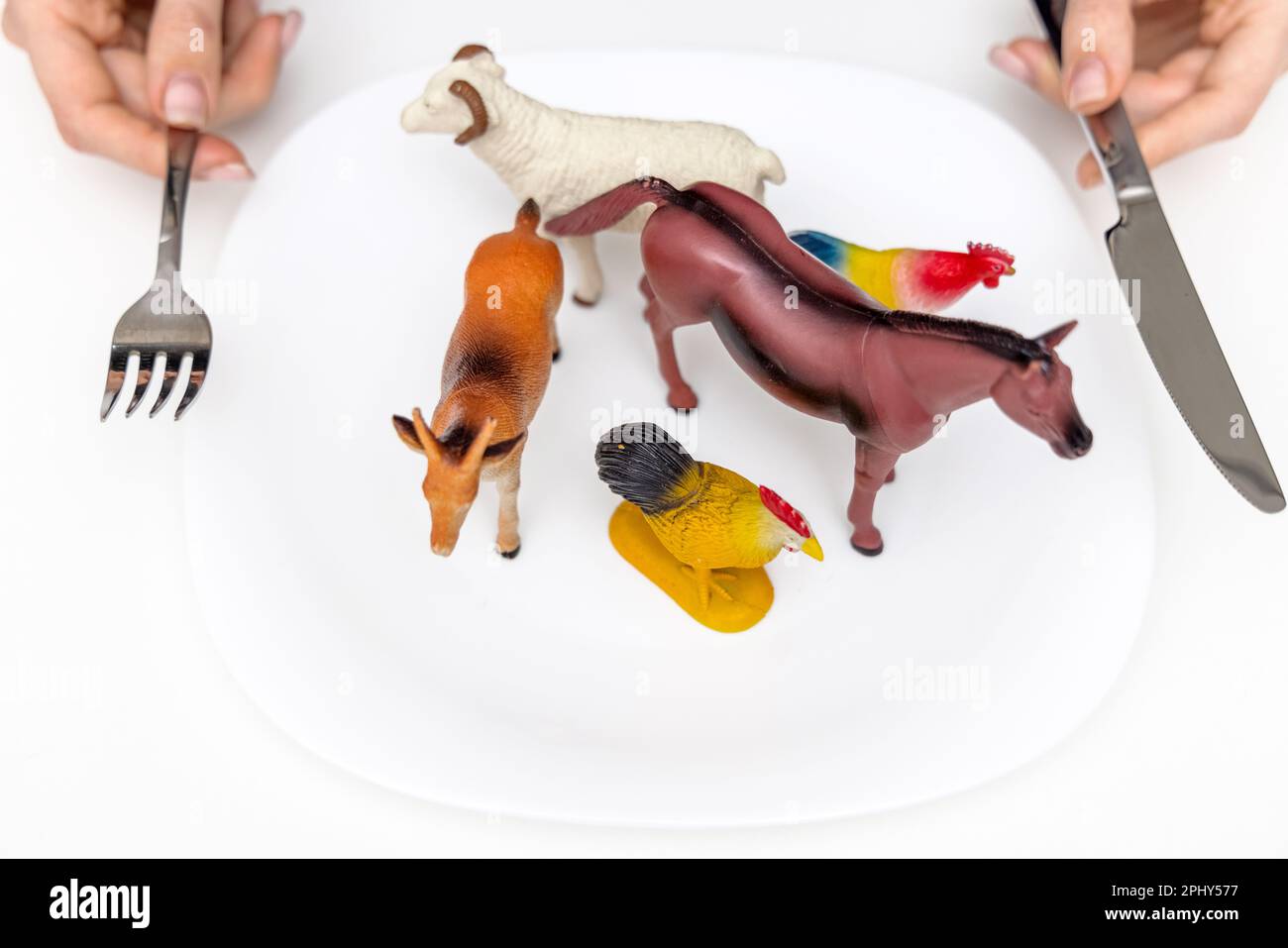 farm animals plastic toys in white plate and woman female hands Stock ...