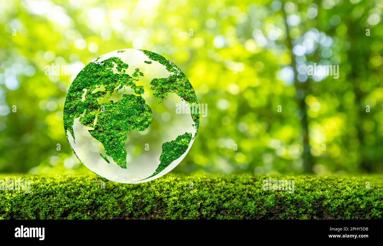 Concept Save the world save environment The world is in the grass of ...