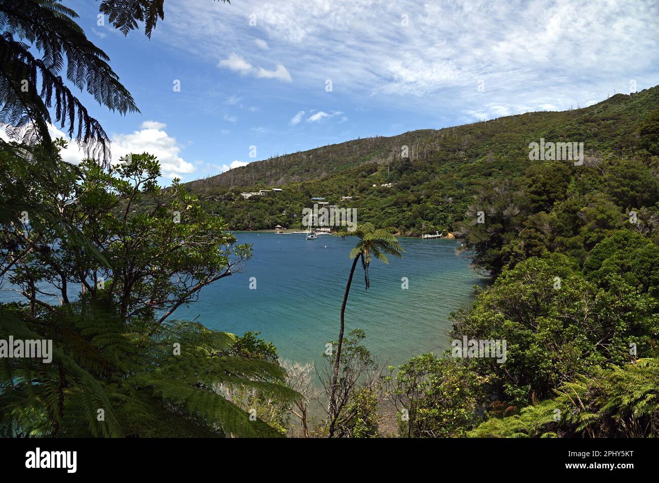 Punga cove resort new zealand hi-res stock photography and images - Alamy