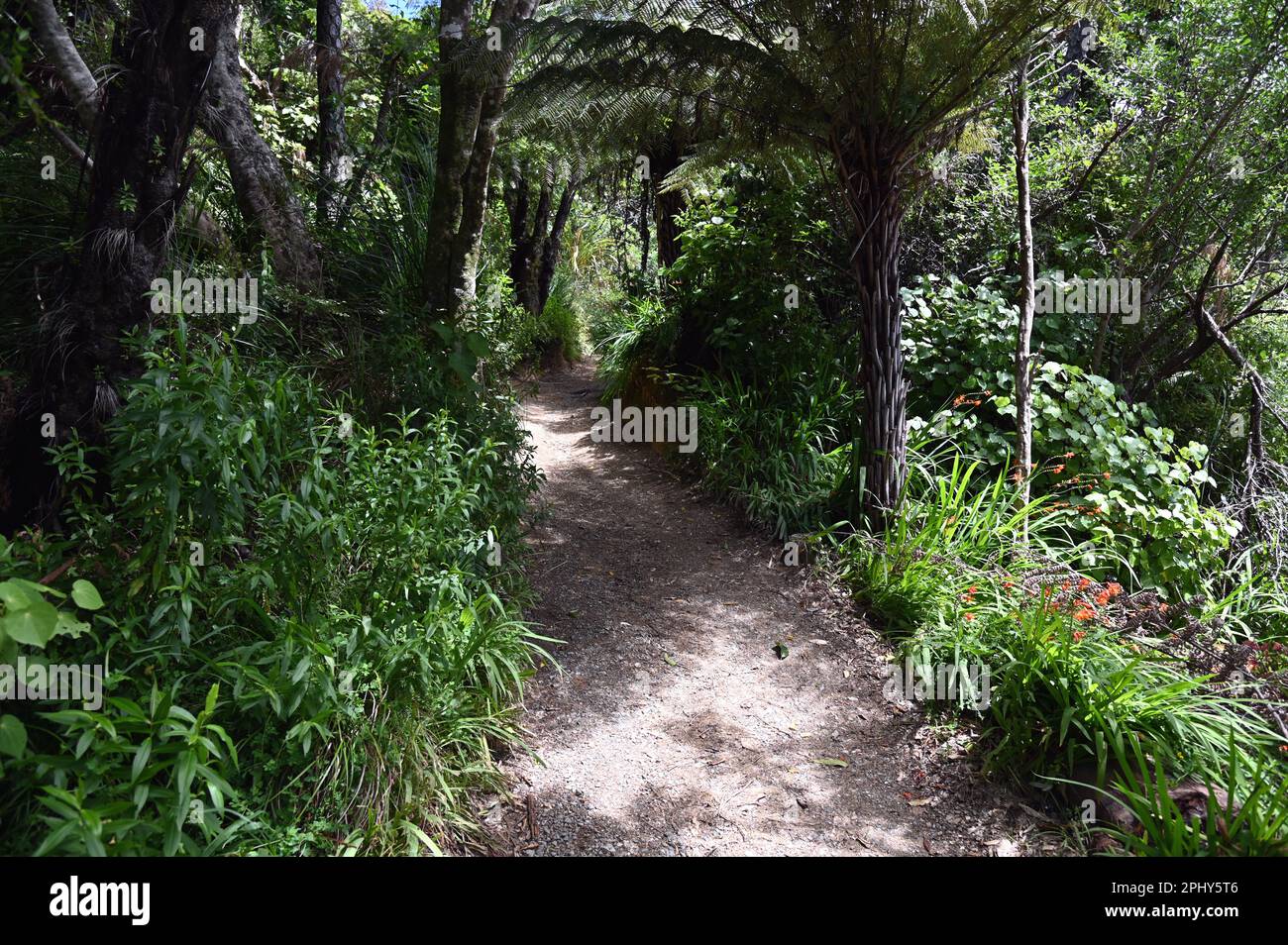 The understated entrance to Punga Cove from the Queen Charlotte Track ...