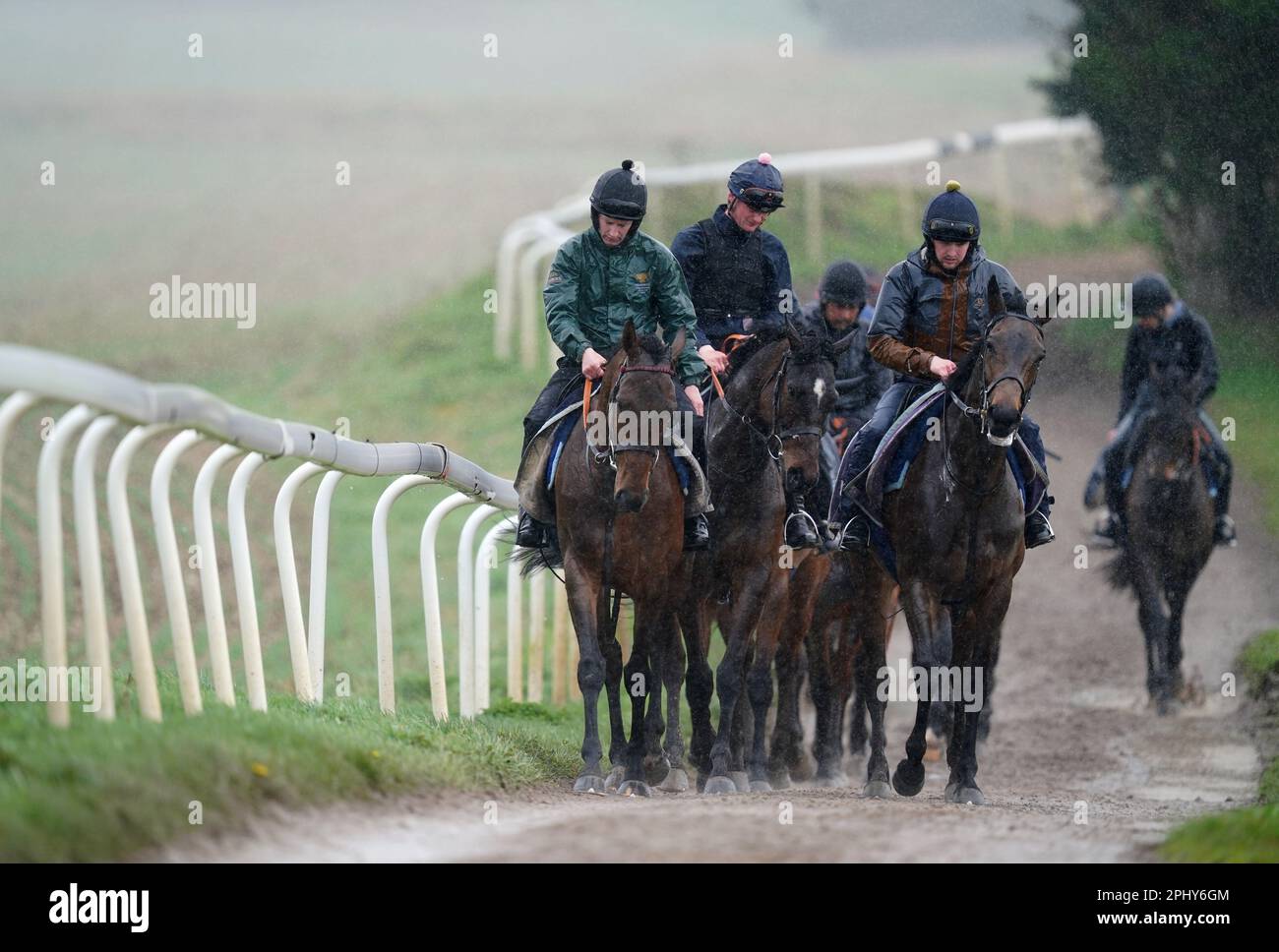 Horses return from the gallop during a visit to Seven Barrows Stables ...