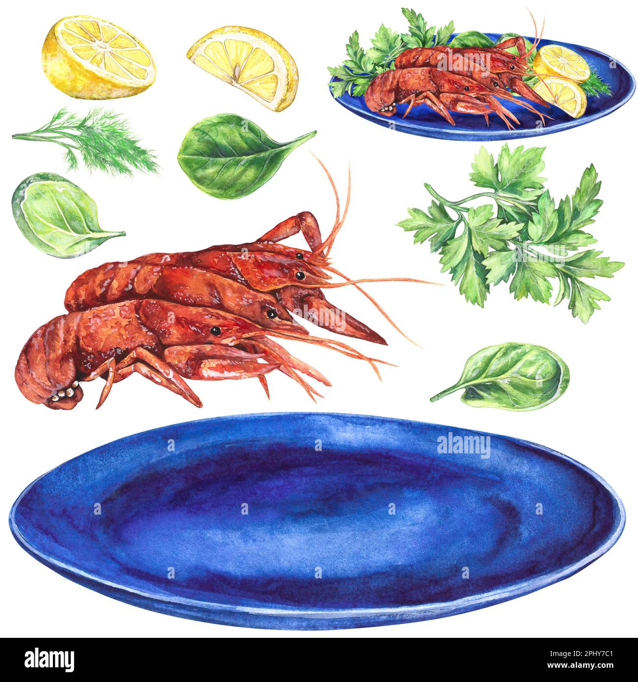 Watercolor illustration boiled red crayfish isolated on white ...