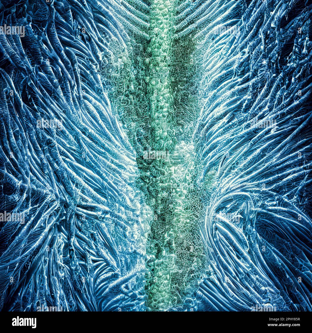 Human skin cell microscope hi-res stock photography and images - Alamy