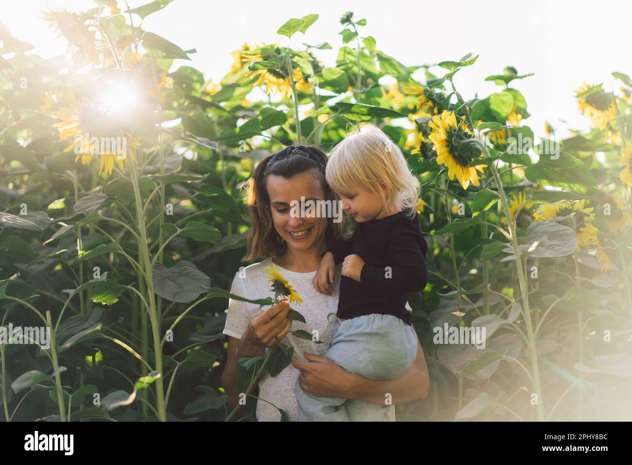 Young mother holding her baby. Mother and little daughter having good time in the Sunflower ...