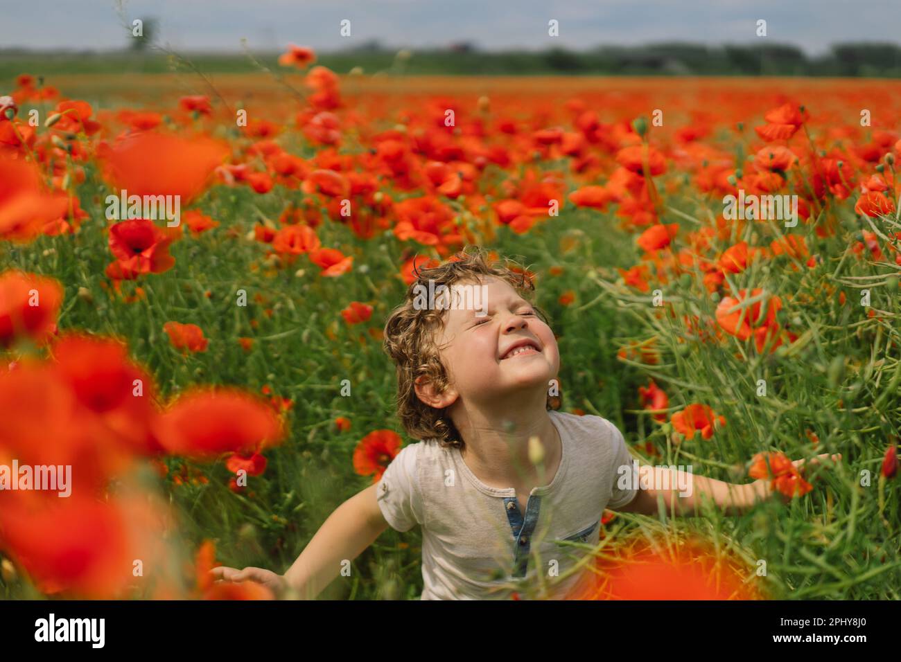Little Boy plays in a beautiful field of red poppies. People and nature ...