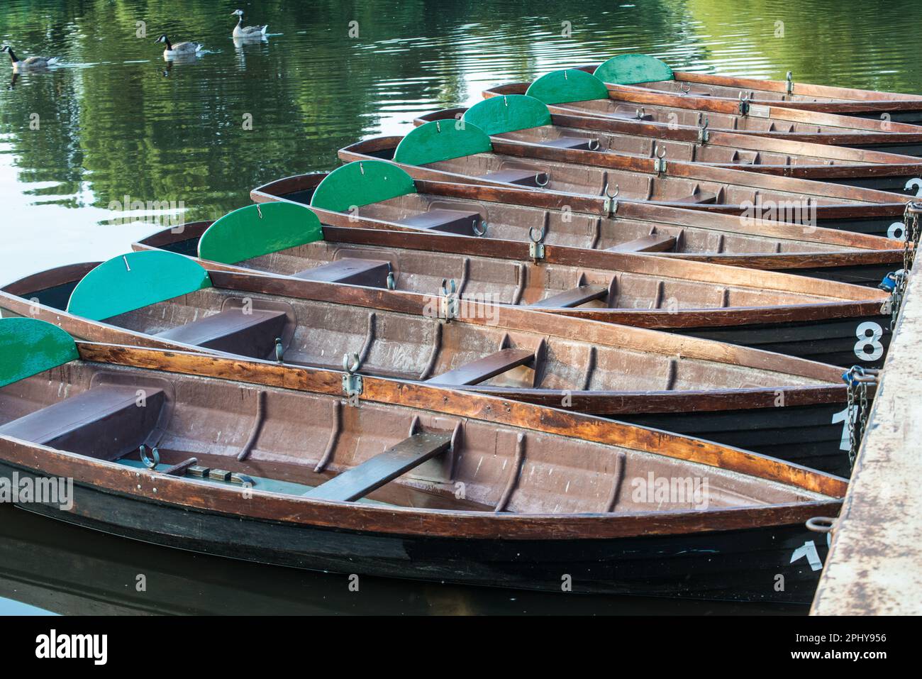 Rowing boats lined up on the River Derwent in Belper River Gardens ...