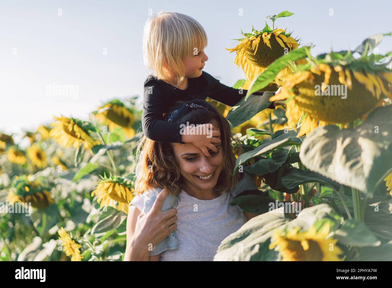 Young mother holding her baby. Mother and little daughter having good time in the Sunflower ...