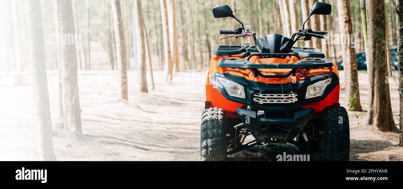 An ATV adventure through the forest at sunset, with nobody around Stock ...