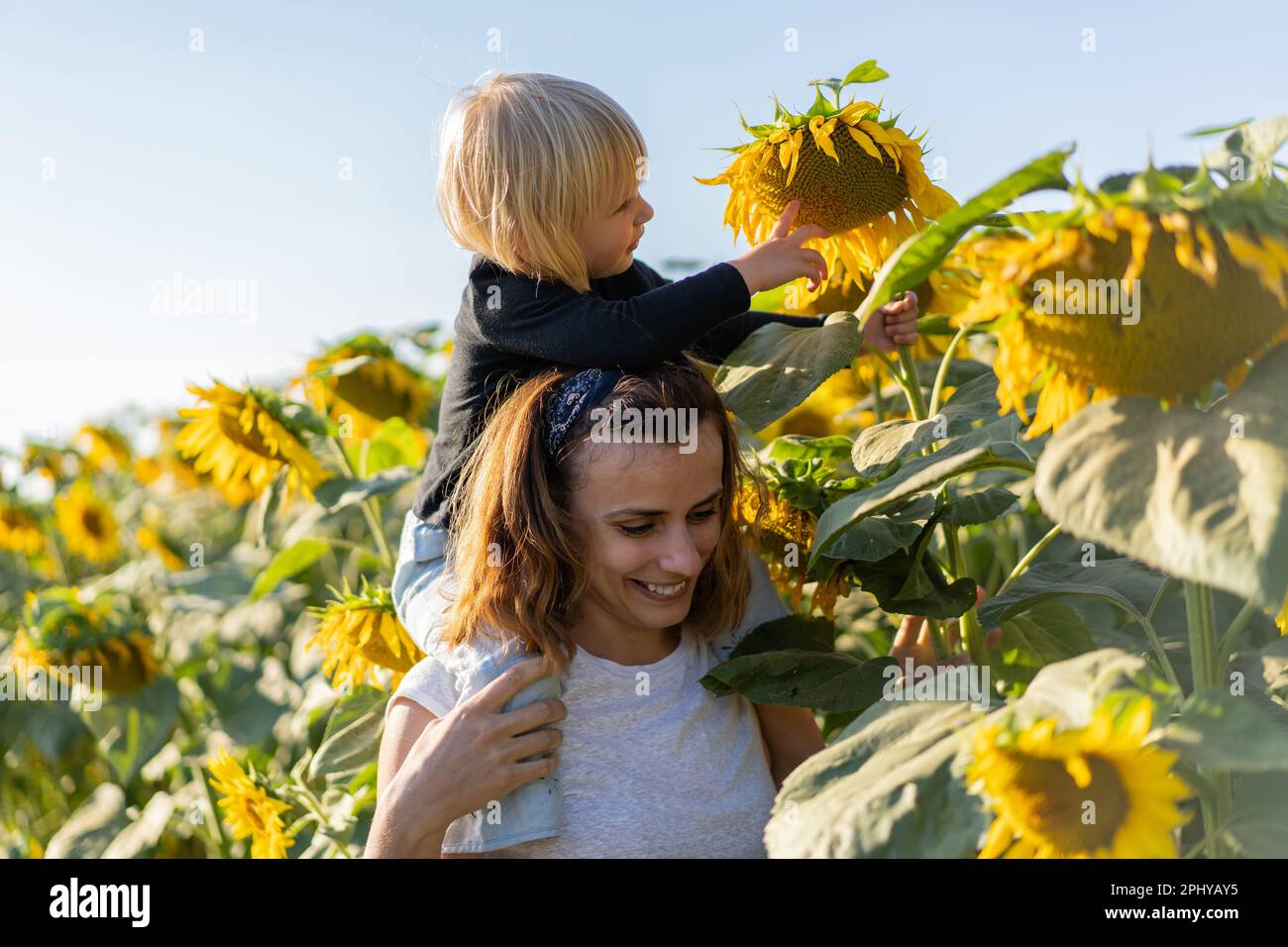 Young mother holding her baby. Mother and little daughter having good time in the Sunflower ...