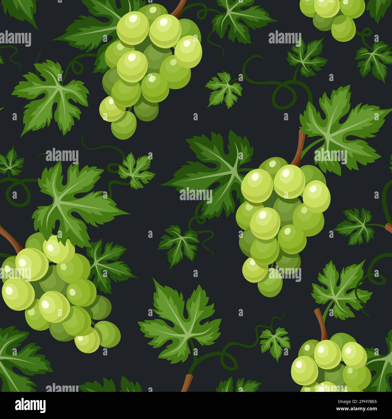 Grape vine vines cluster Stock Vector Images - Alamy